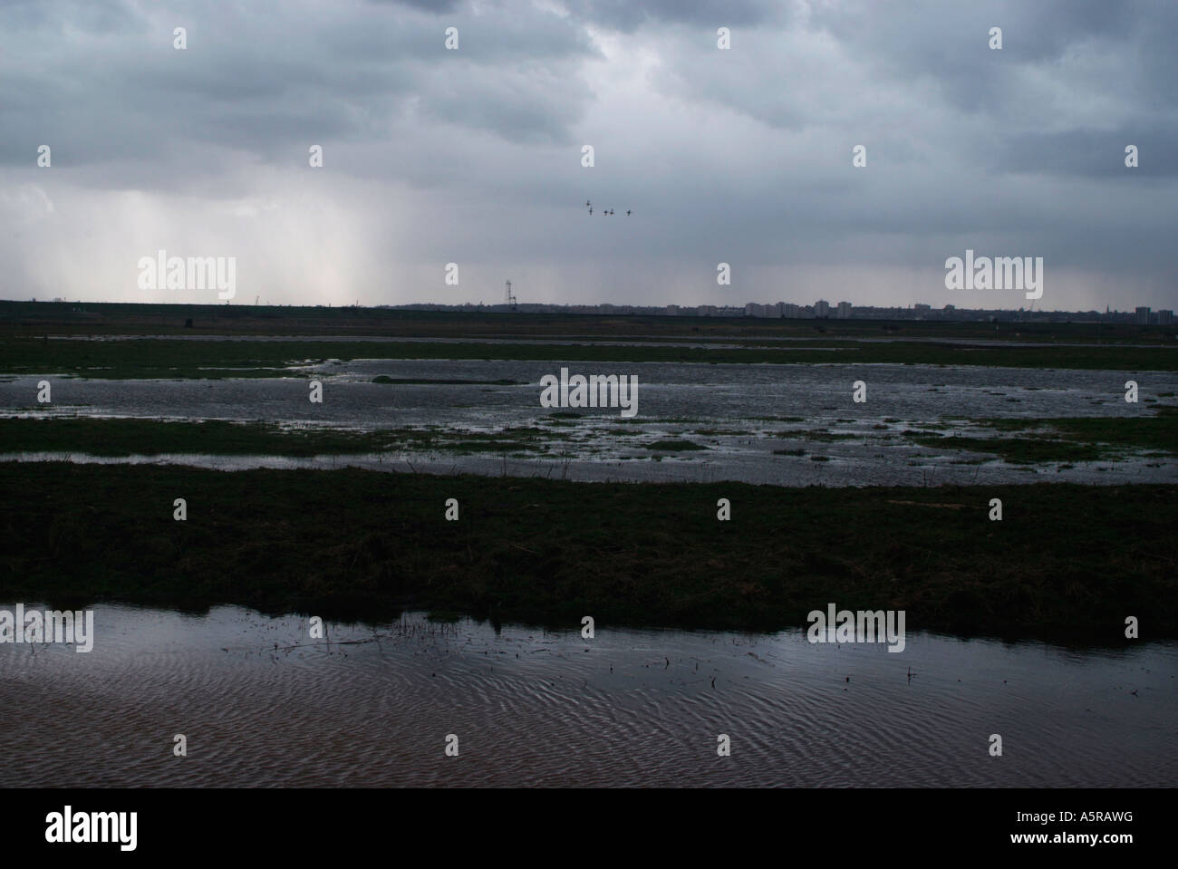 Rainham Marsh which is now a nature reserve owned by the RSPB (Royal ...