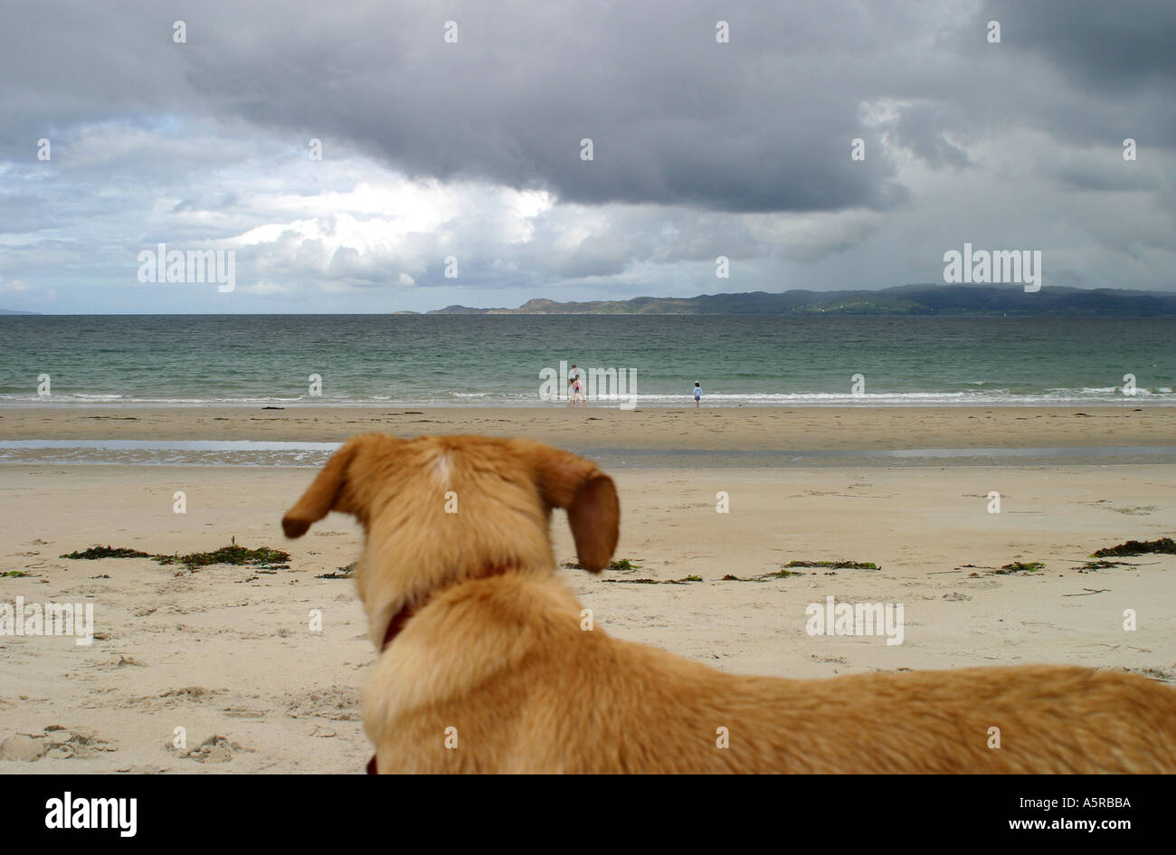 Watching over children hi-res stock photography and images - Alamy
