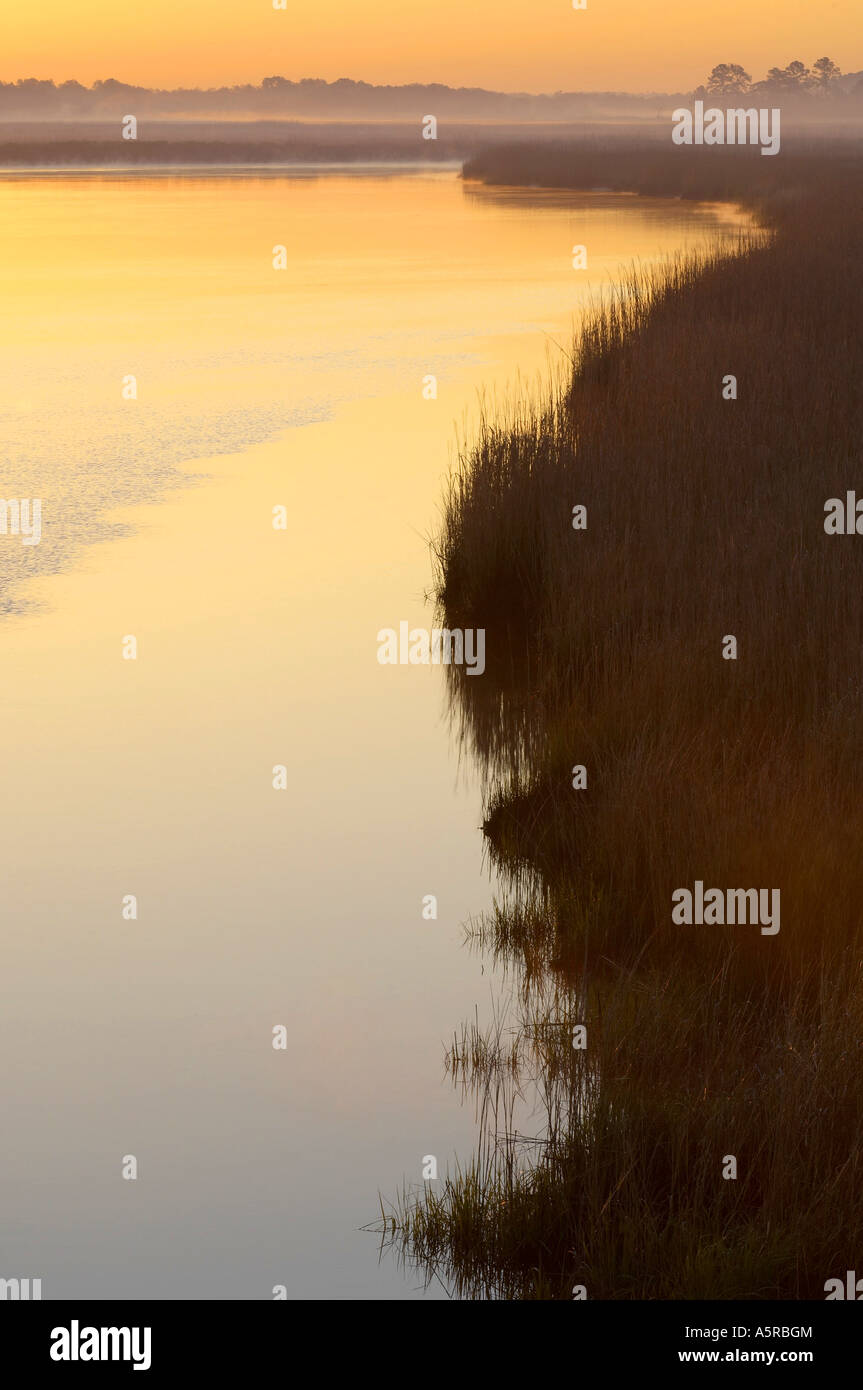 Body of Water shore line Stock Photo - Alamy