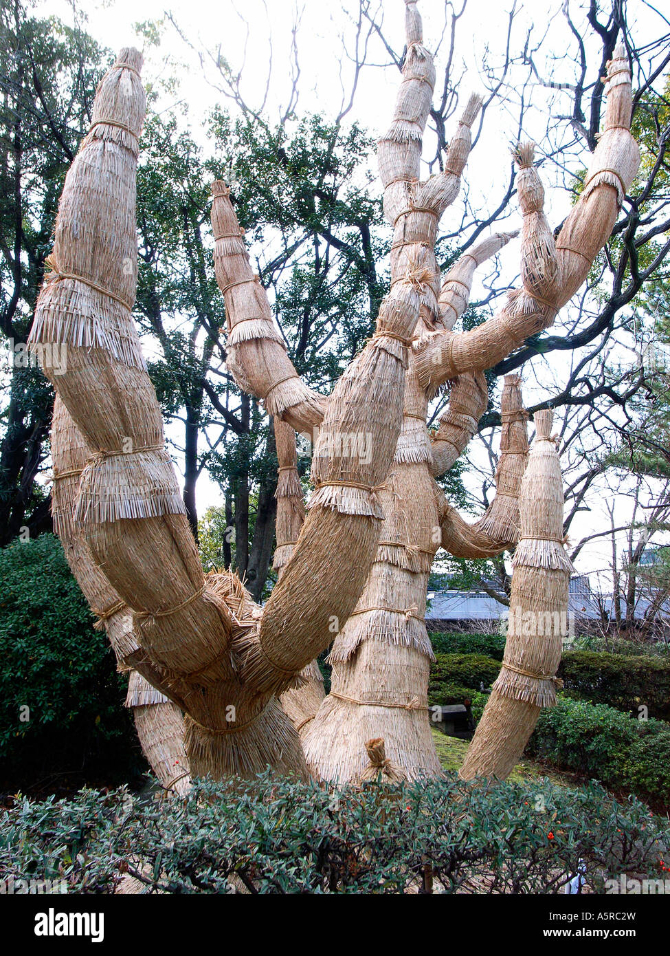 kyoto Gojo. Otani-hompyou Stock Photo - Alamy