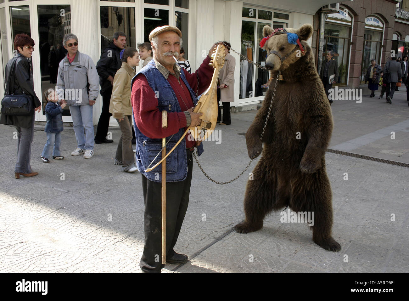 Balkan bear hi-res stock photography and images - Alamy