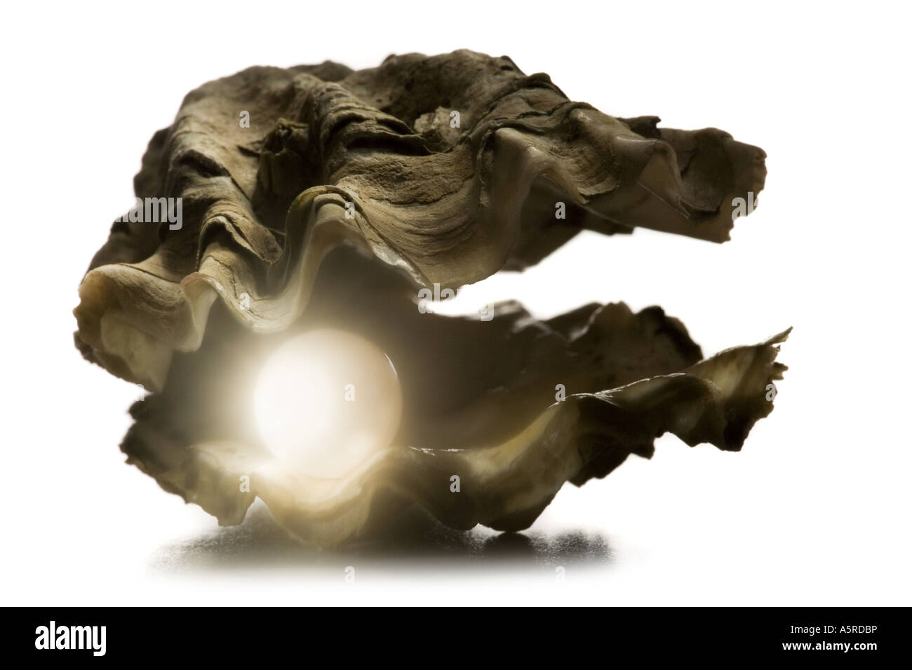 Pearl in open sea Cut Out Stock Images & Pictures - Alamy