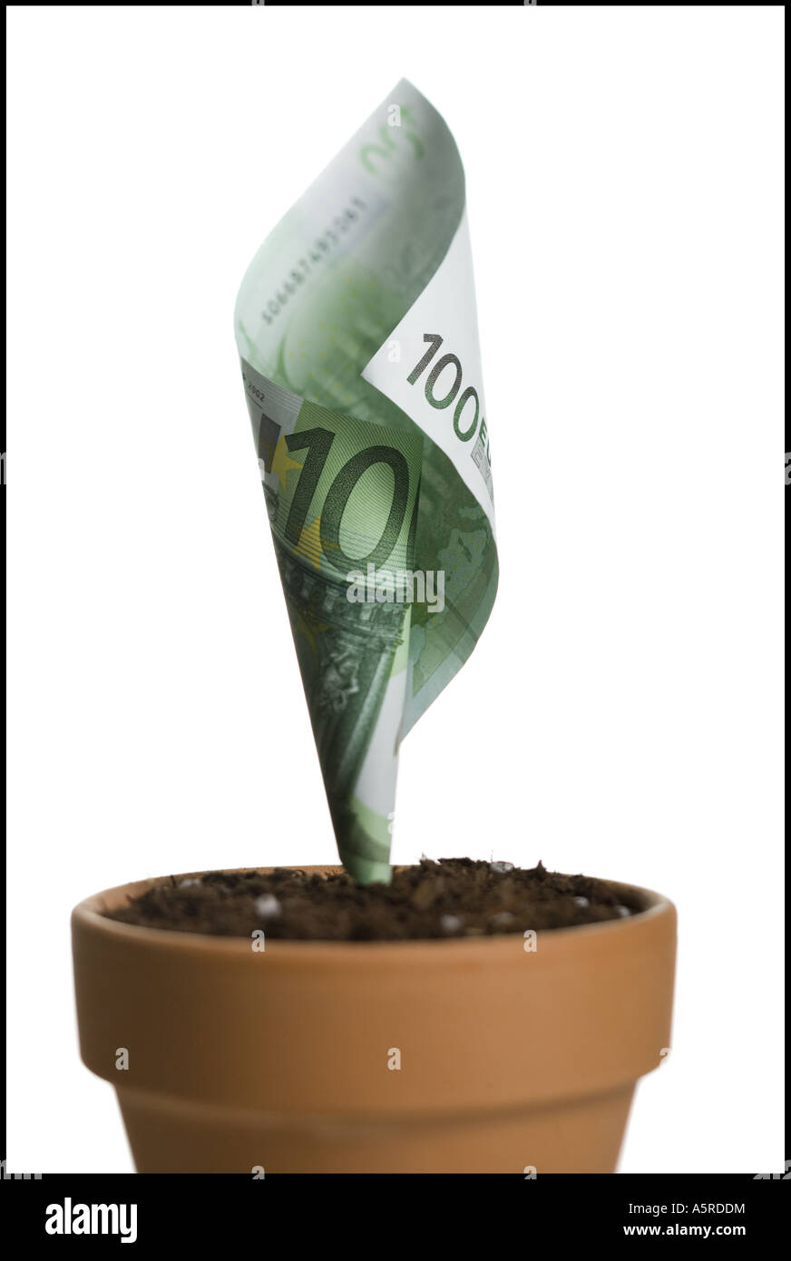 Close up of a one hundred Euro banknote growing in a flower pot Stock ...