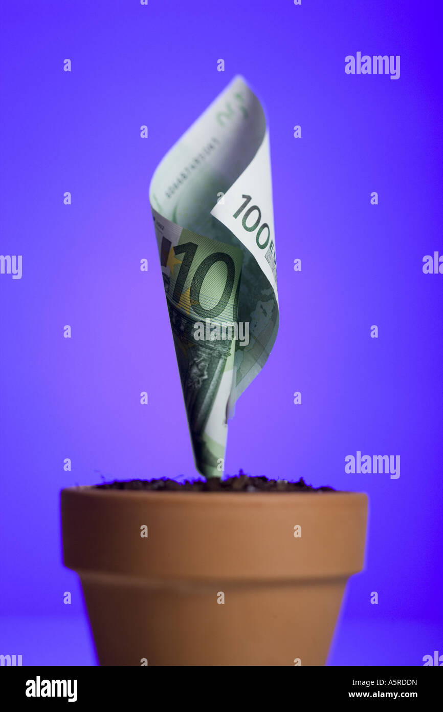 Close up of one hundred Euro banknote growing in a flower pot Stock ...