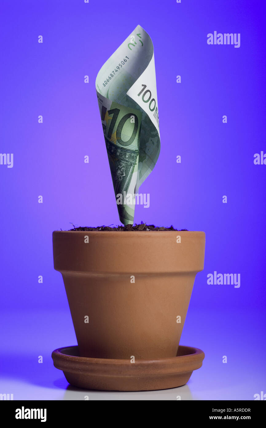 A one hundred Euro banknote growing in a flower pot Stock Photo - Alamy