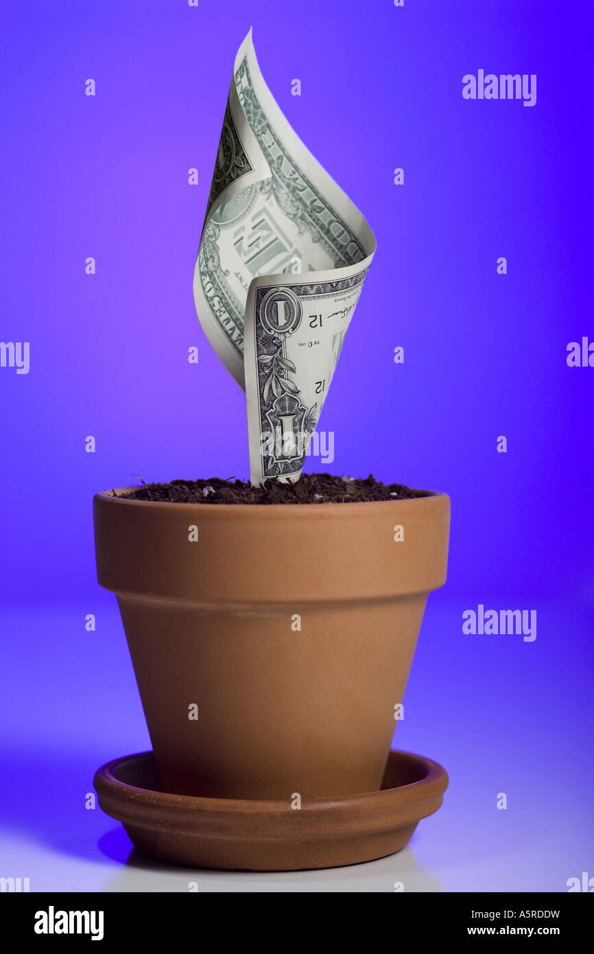 An American one dollar bill growing in a flower pot Stock Photo - Alamy