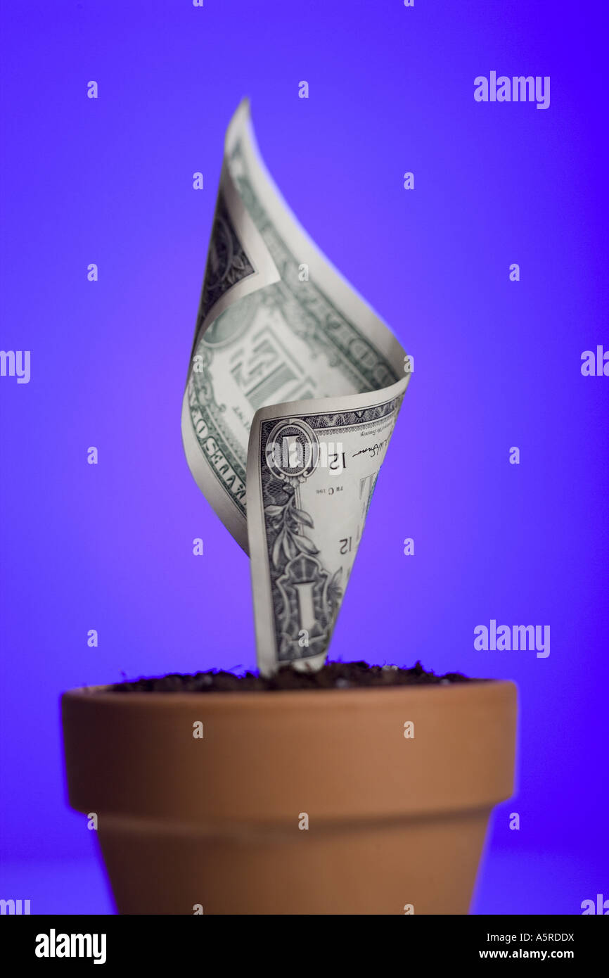 Dollar bill growing in a flower pot hi-res stock photography and images ...