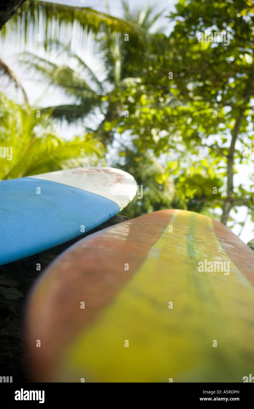 Close up of two surfboards Stock Photo - Alamy