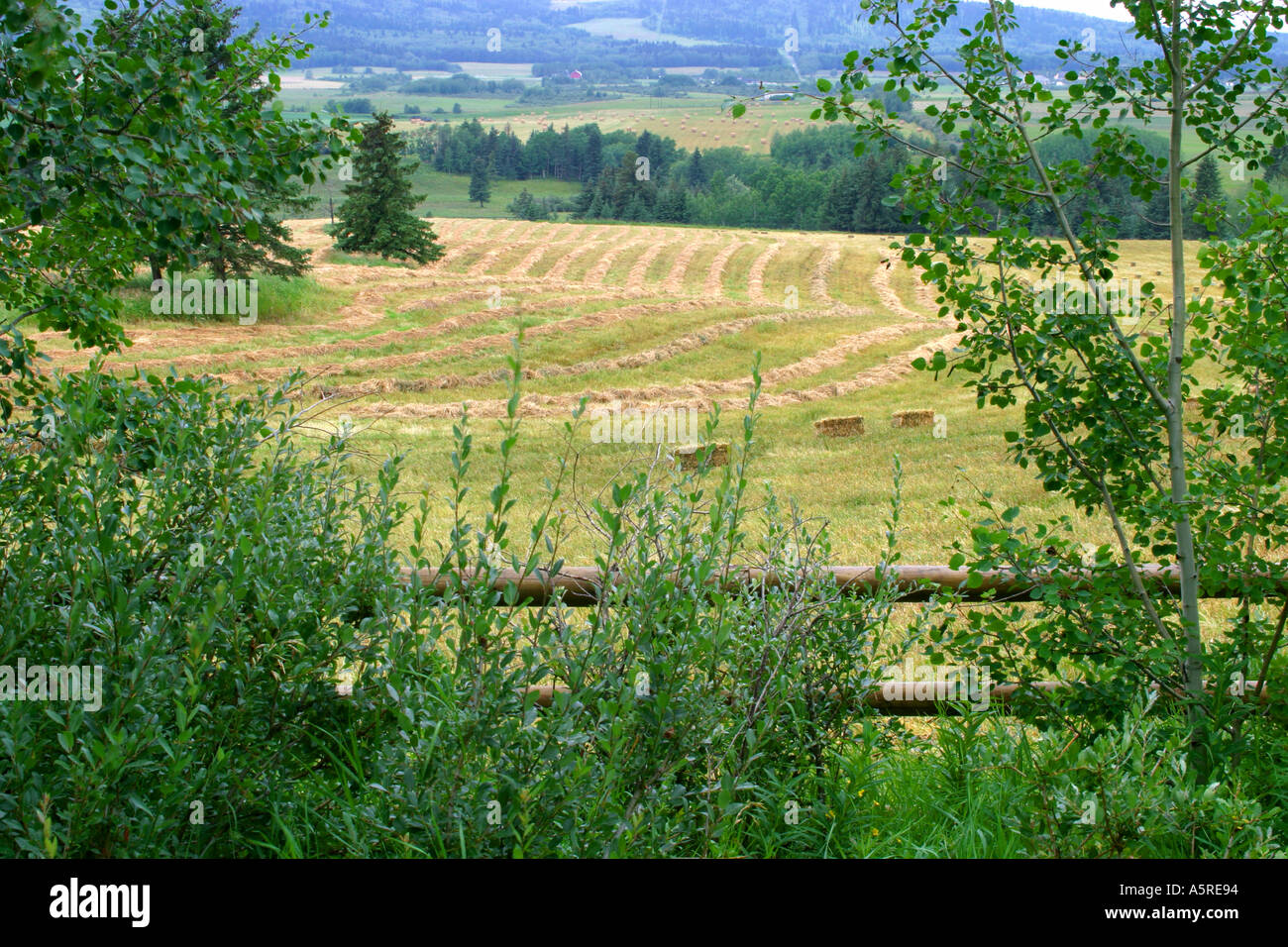 Scenic scenery country hi-res stock photography and images - Alamy