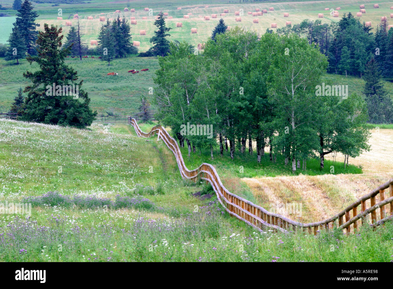 Horizontal A quiet country scene Stock Photo - Alamy
