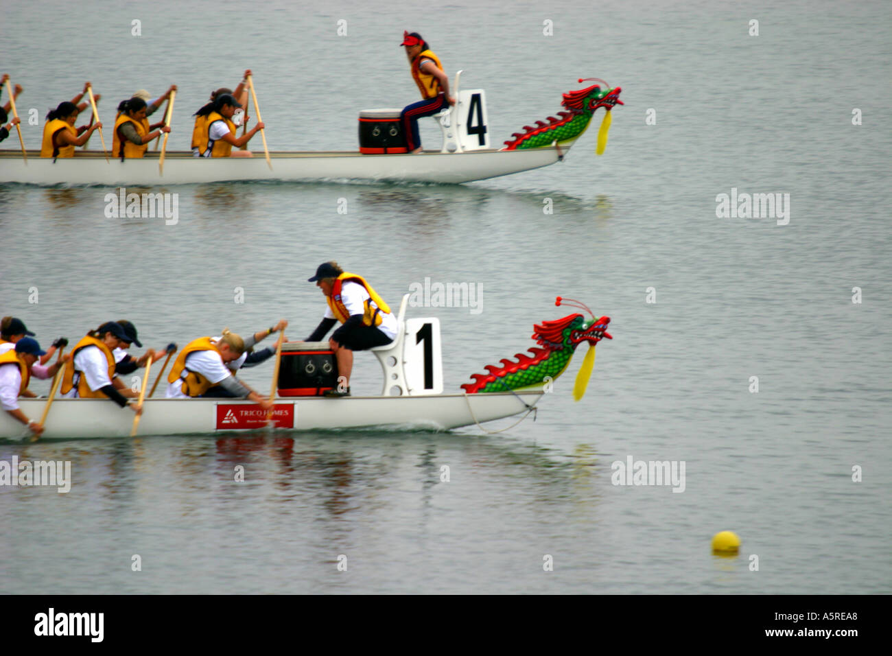 Horizontal Chinese traditional dragon boat racing Stock Photo - Alamy