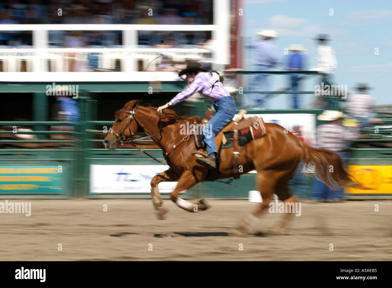Horizontal Barrel Racing at the Rodeo Stock Photo - Alamy