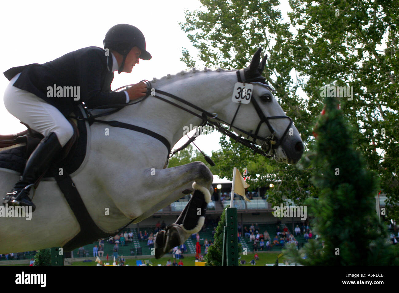 Horizontal Team work horse and rider Stock Photo - Alamy