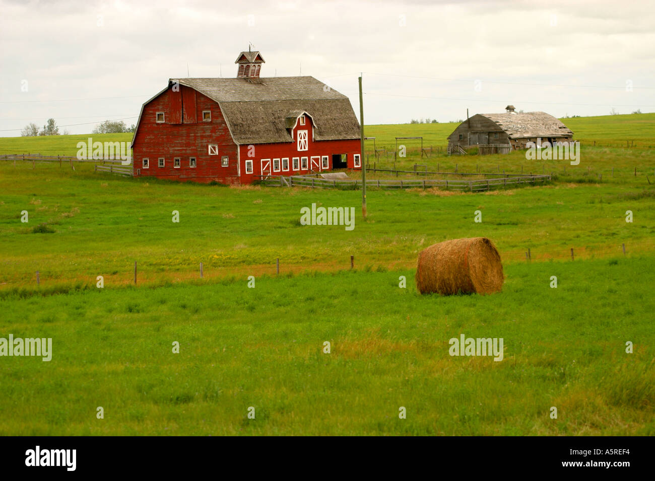 Horizontal Farm on the Canadian Prairies Stock Photo - Alamy
