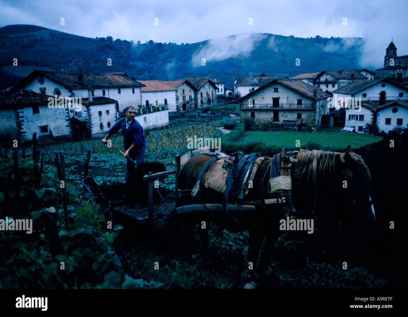 BASQUE COUNTRY, FARMER JUAN MARITORENA UNLOADING MANURE IN BERROETA ...