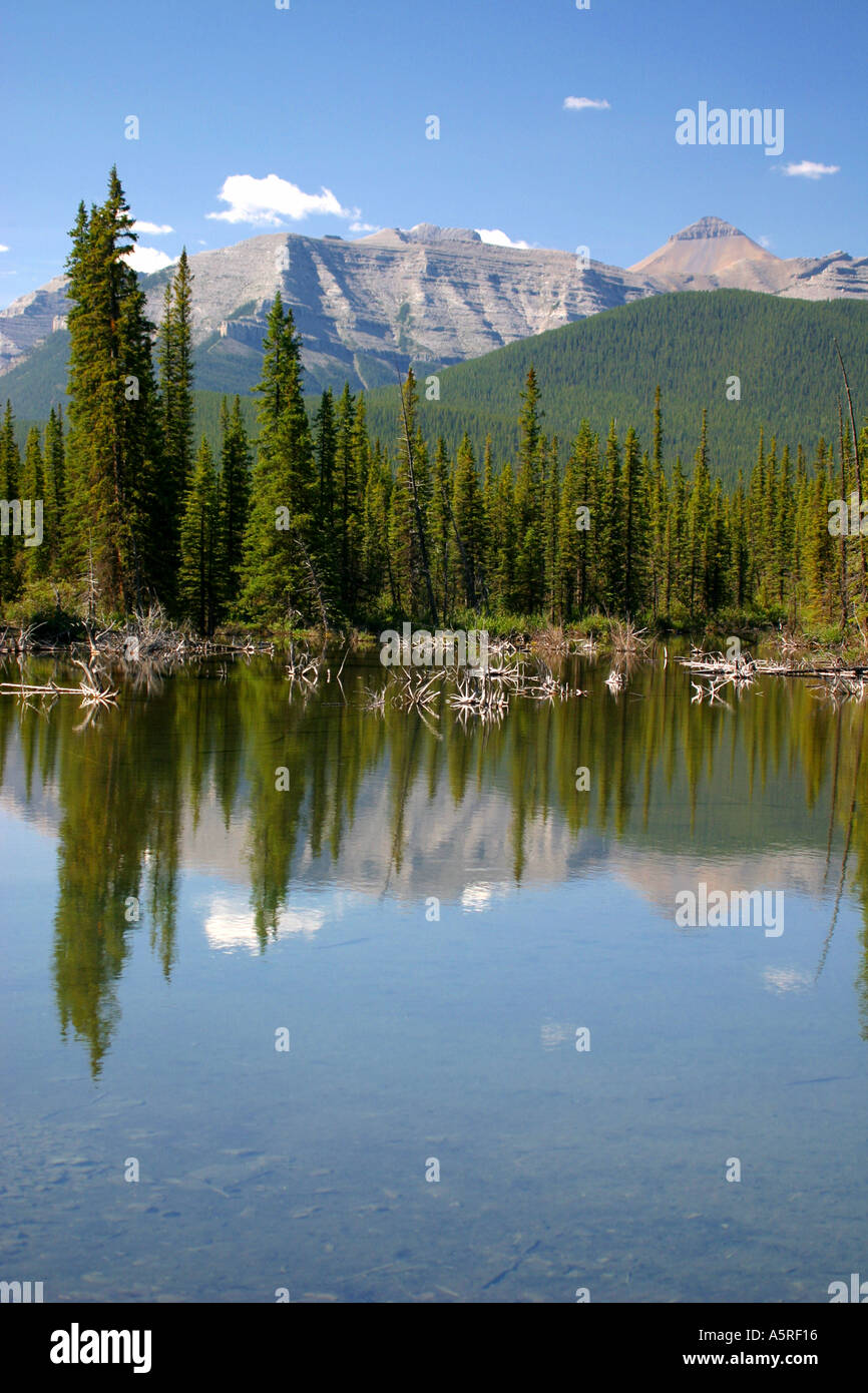 Vertical Reflections Stock Photo - Alamy