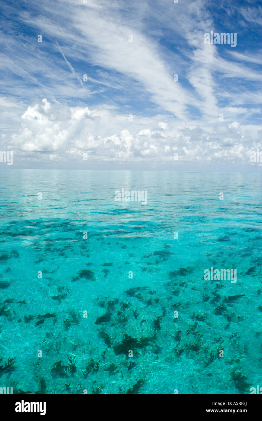 LIMITLESS HORIZON AS SEEN ACROSS A CALM OCEAN SURFACE CLOUDS REFLECTED ...