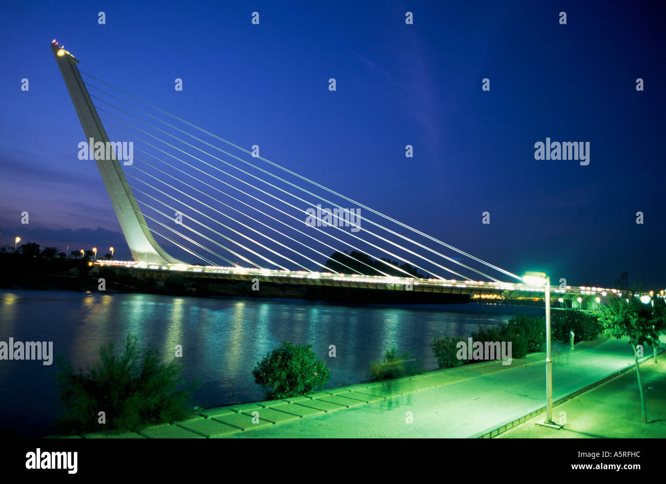 ALAMILLO BRIDGE DESIGNED BY SANTIAGO CALATRAVA SEVILLE, ANDALUCIA SPAIN ...