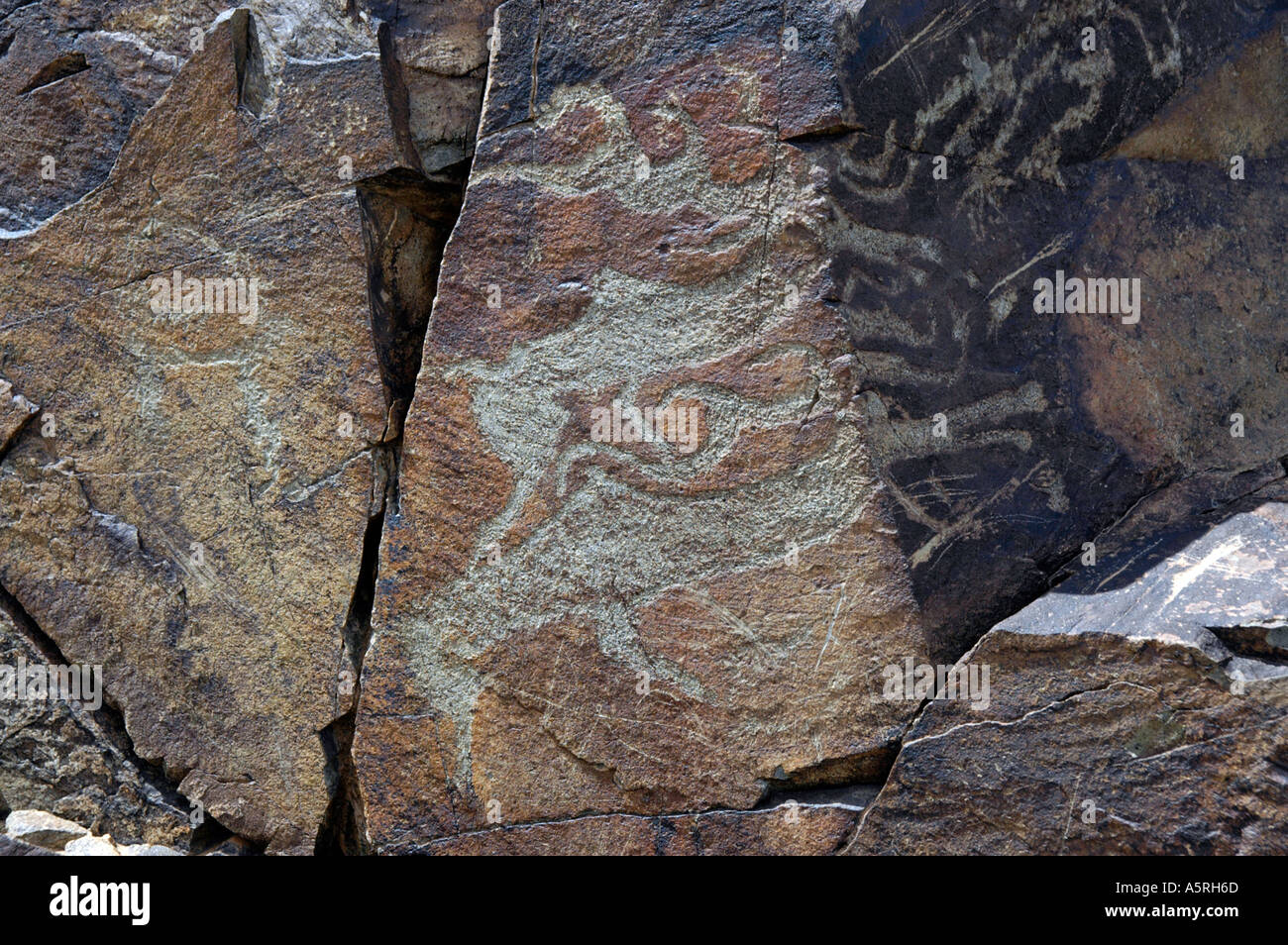 Stone age petroglyphs stags near Ongyin Monastery Mongolia Stock Photo ...