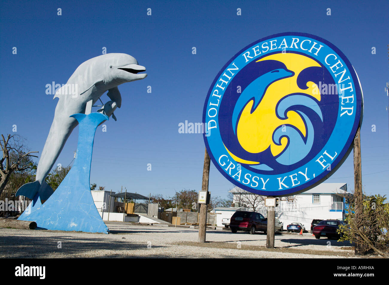 Dolphin research center hi-res stock photography and images - Alamy