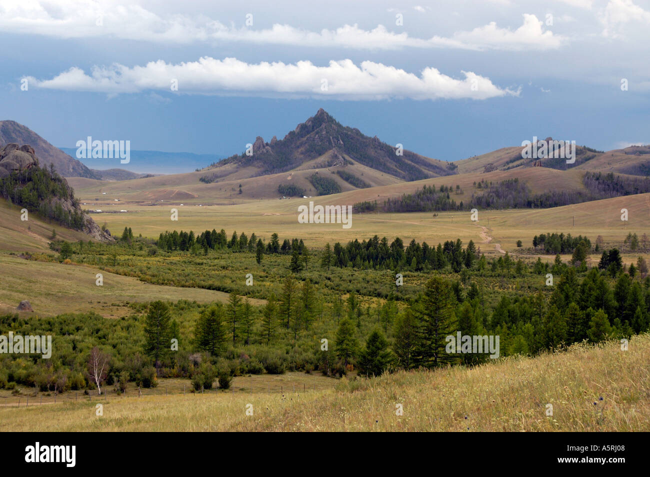 Wide open landscape with forest and a dominant mountain Terelj National ...