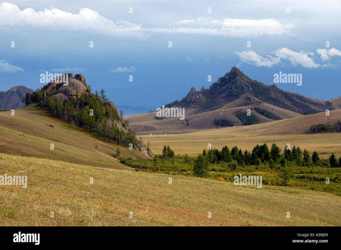 Wide open landscape with grassland forest and a dominant mountain ...