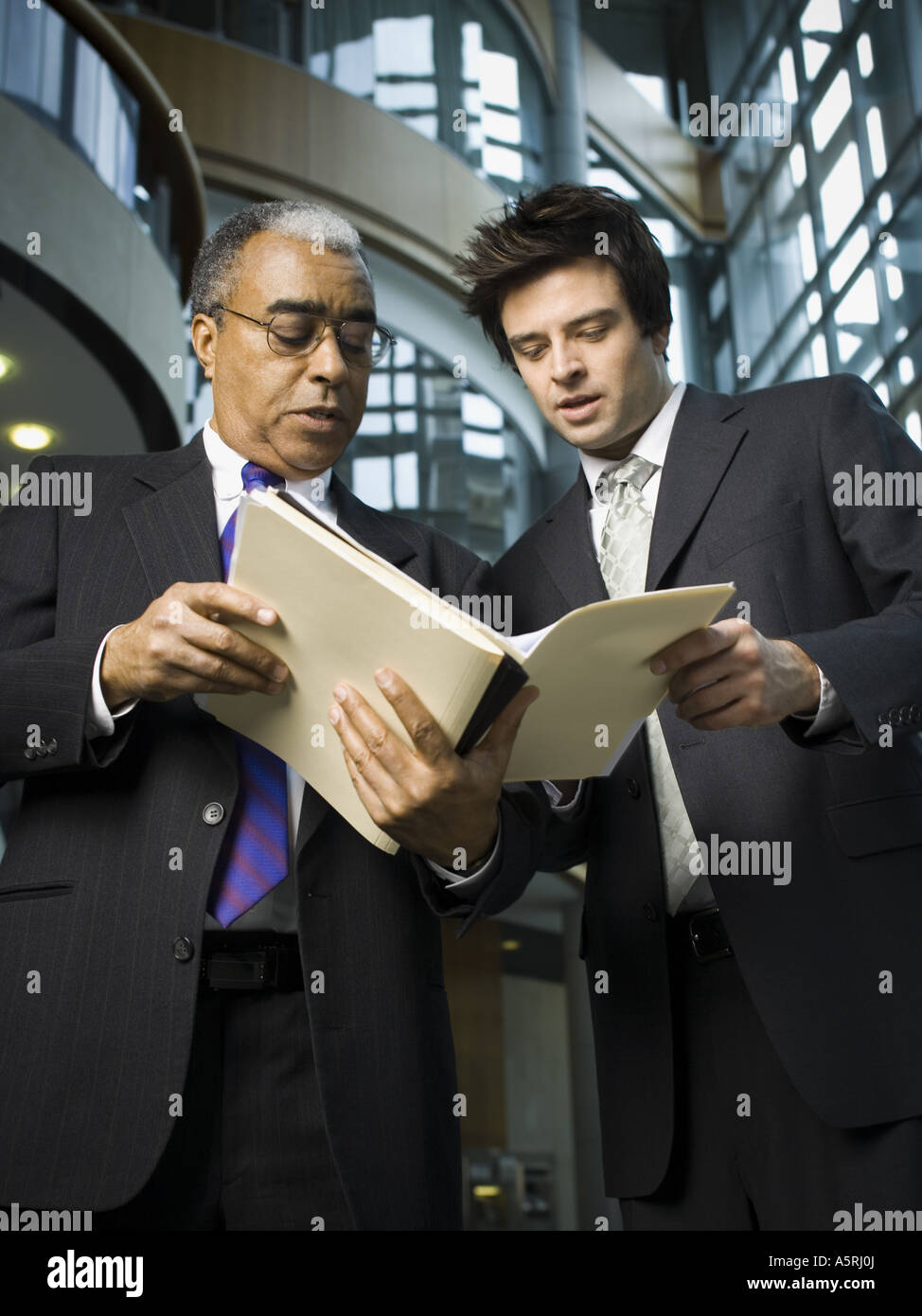 Two businessmen looking at documents Stock Photo - Alamy