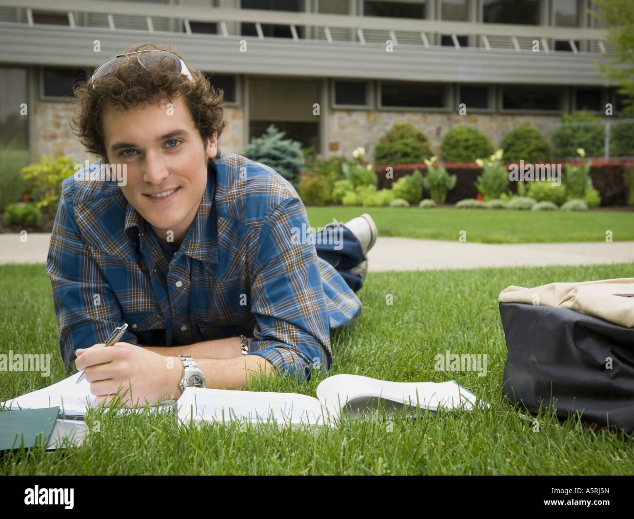 Male student studying outdoors Stock Photo - Alamy