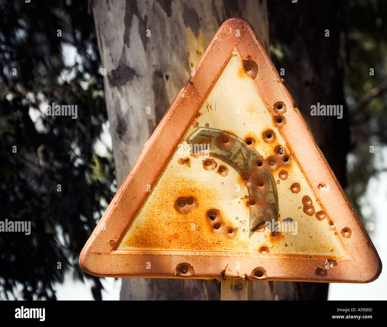 Beware of Curve traffic sign vandalized with bullet holes Stock Photo ...