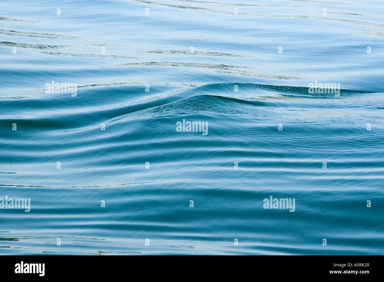 Water water surface Stock Photo - Alamy