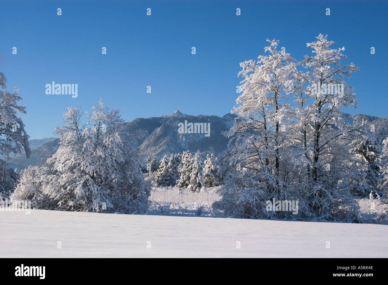 snow covered winter landscape with hte mountain Hörnle in the Murnauer ...