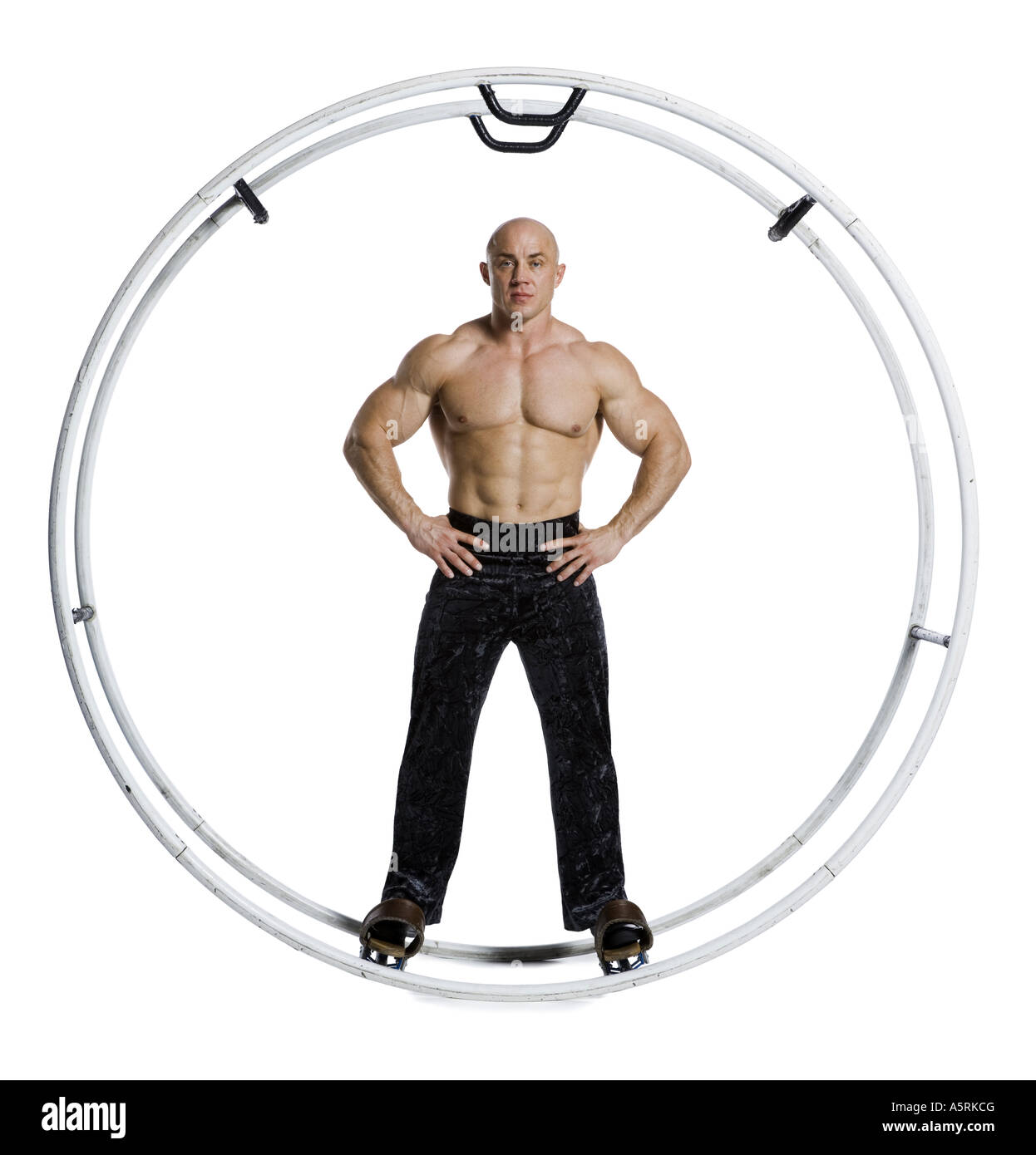 German bodybuilder hi-res stock photography and images - Alamy