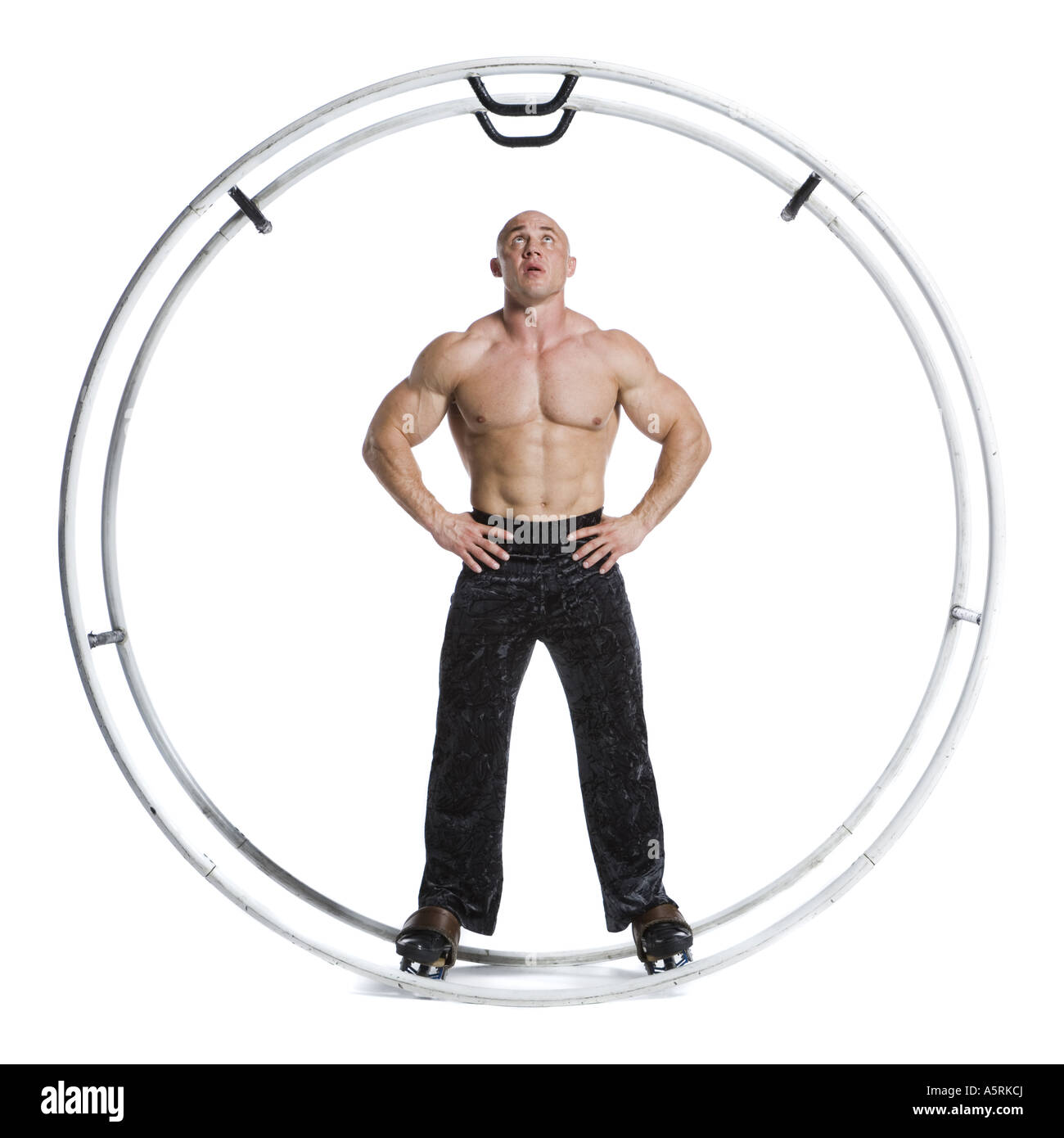 German bodybuilder hi-res stock photography and images - Alamy