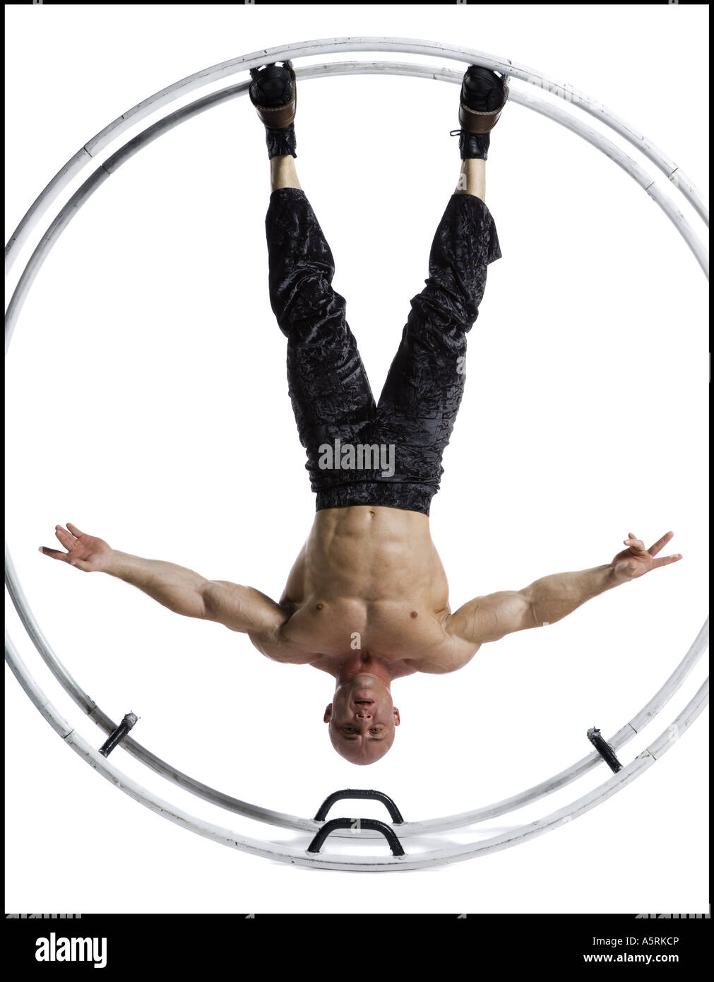 German bodybuilder hi-res stock photography and images - Alamy