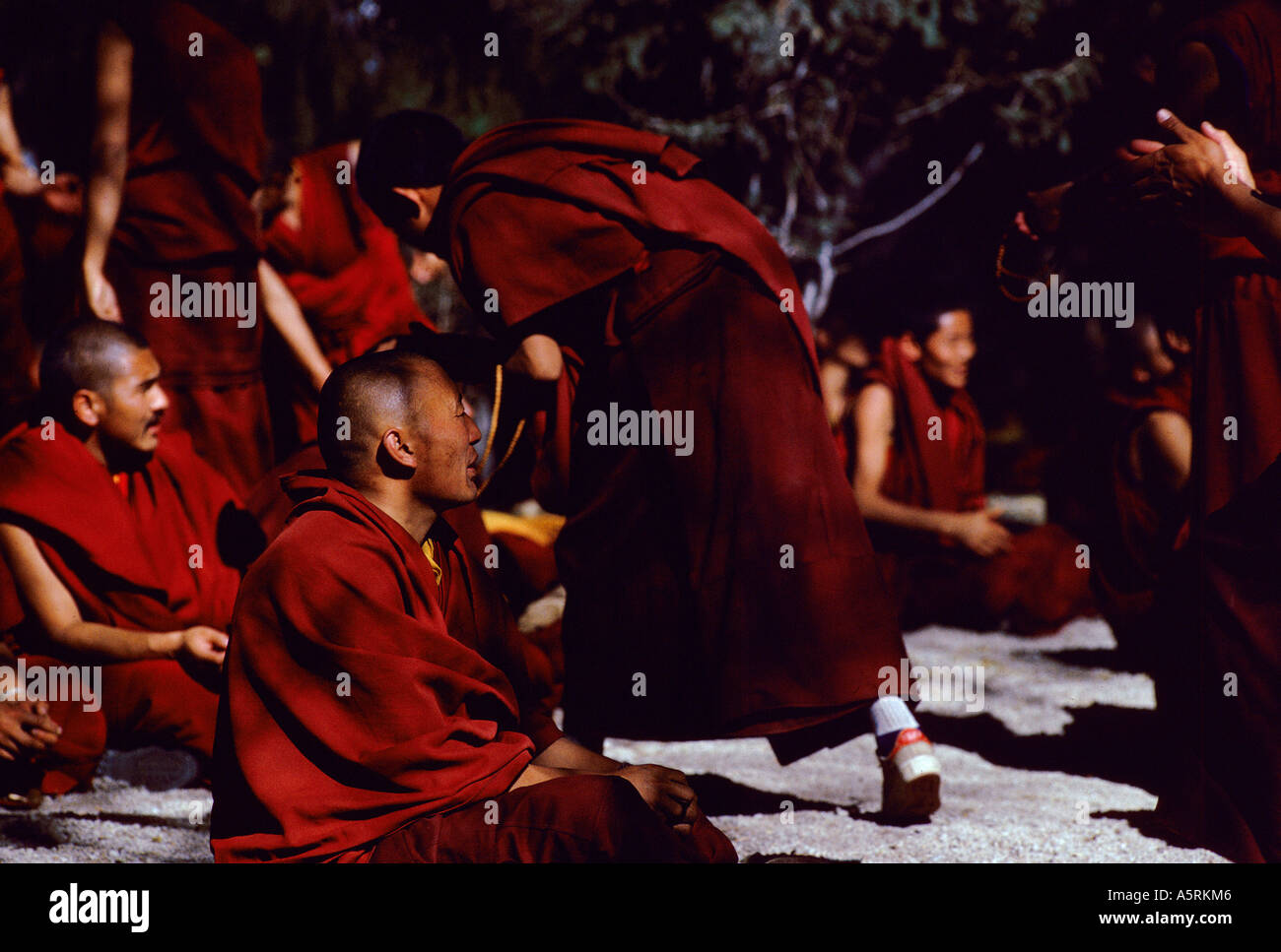THE ASSEMBLY HALL AT SERA MONASTERY 3KM OUTSIDE OF LHASA WHERE MONKS ...