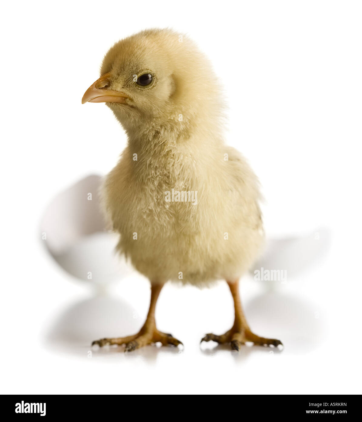 Full depth hatch hi-res stock photography and images - Alamy