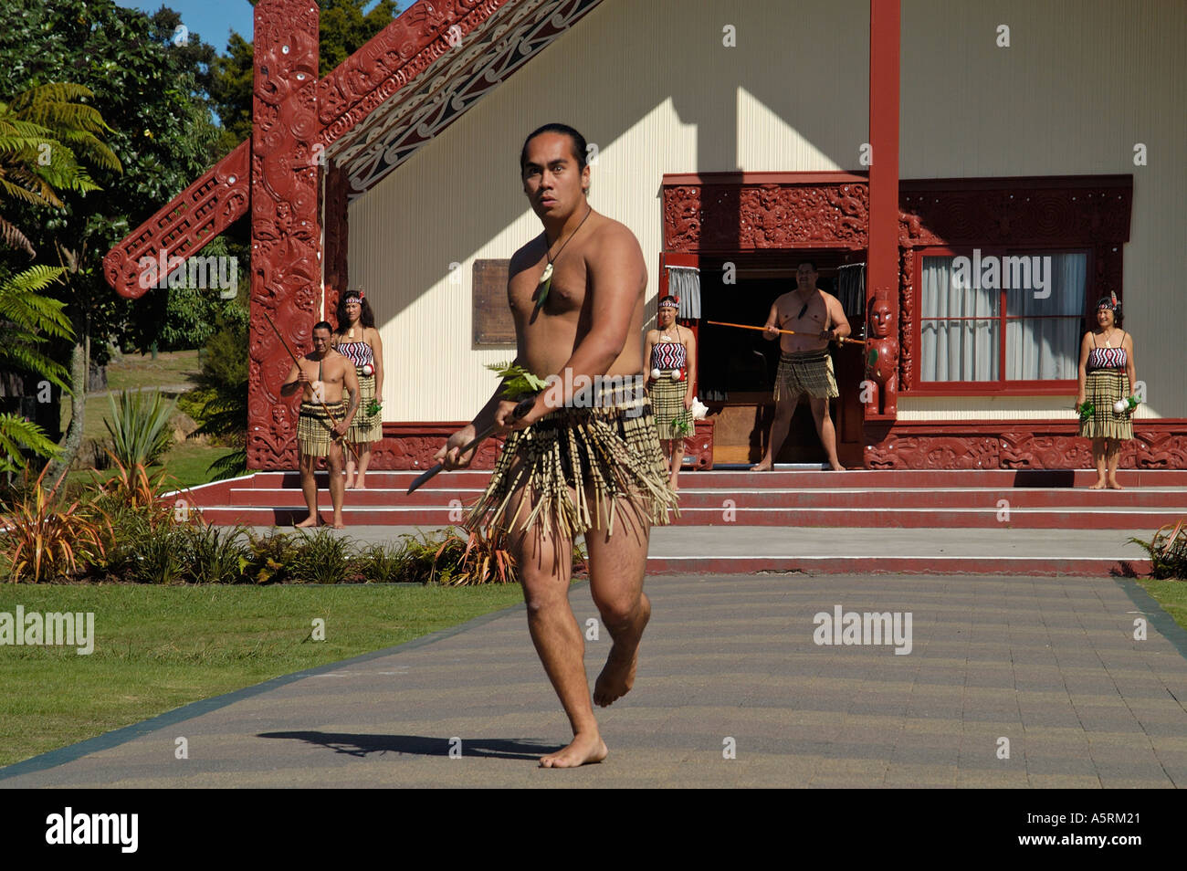 Maori community house hi-res stock photography and images - Alamy