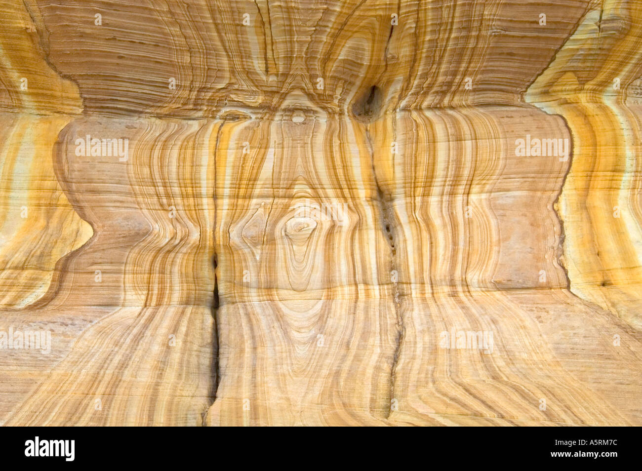 Painted Cliffs in Maria Island Nationalpark Tasmania Australia Stock ...