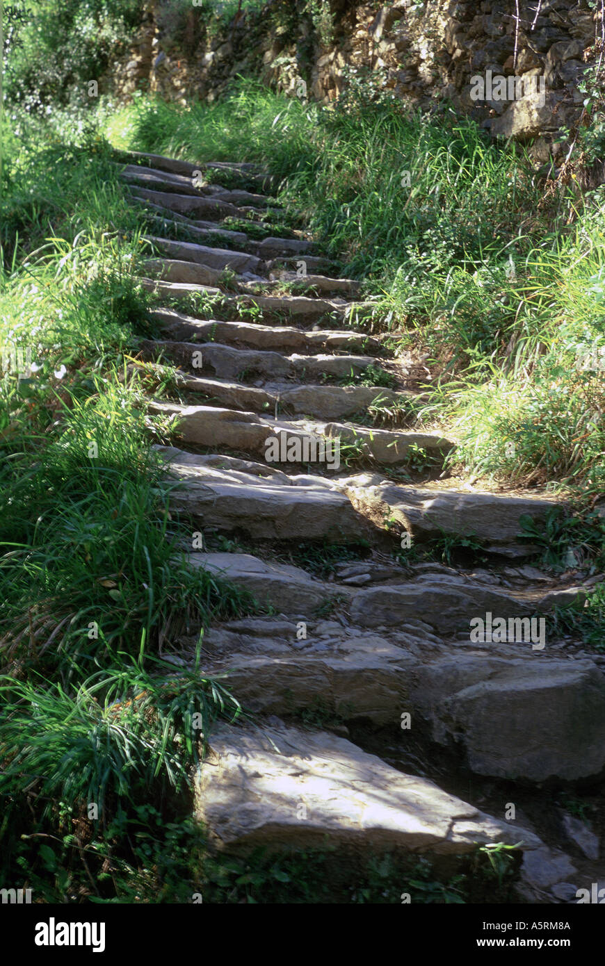 weathered stone steps Stock Photo - Alamy