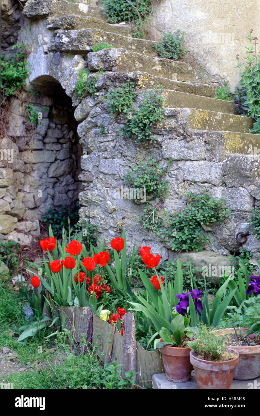 old stone steps Stock Photo - Alamy