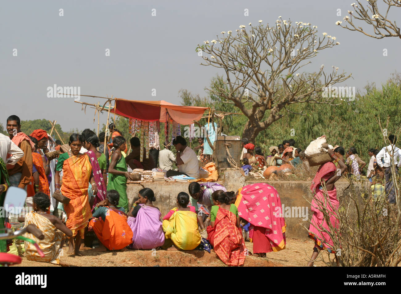 Paraja tribe hi-res stock photography and images - Alamy
