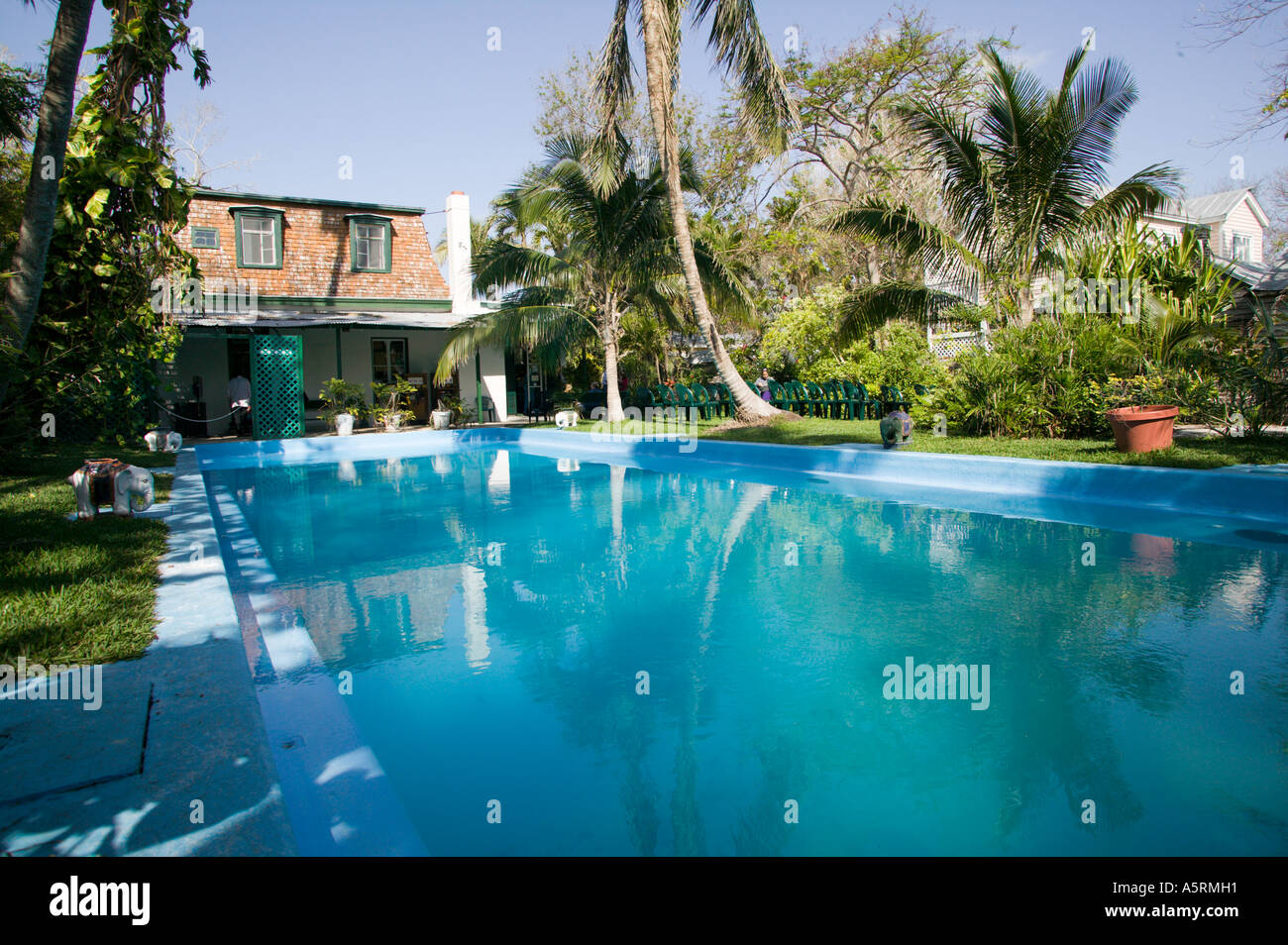 Pool at Ernest Hemingway Residence Key West Florida Stock Photo - Alamy