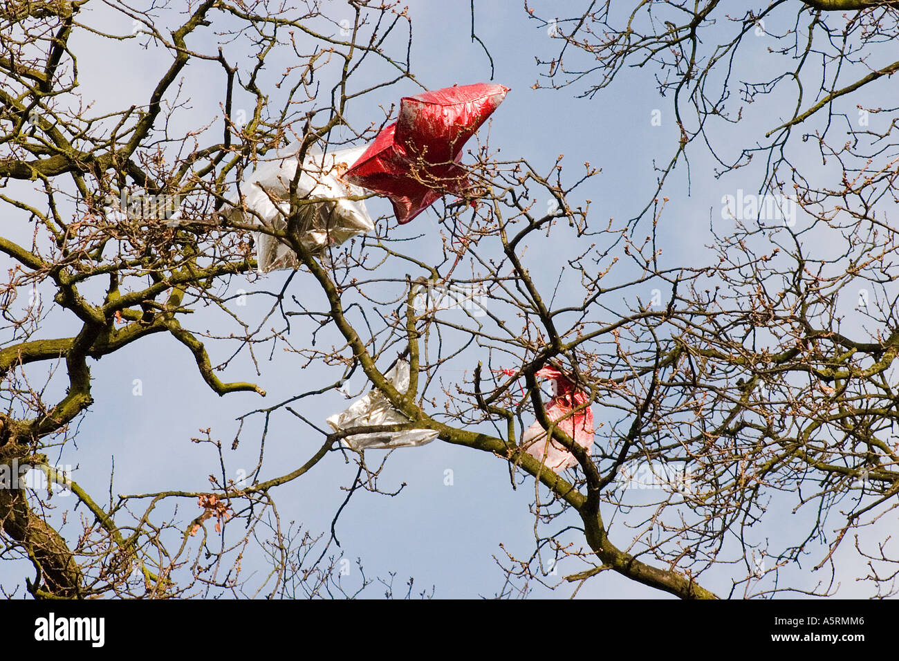 Balloon caught tree hi-res stock photography and images - Alamy