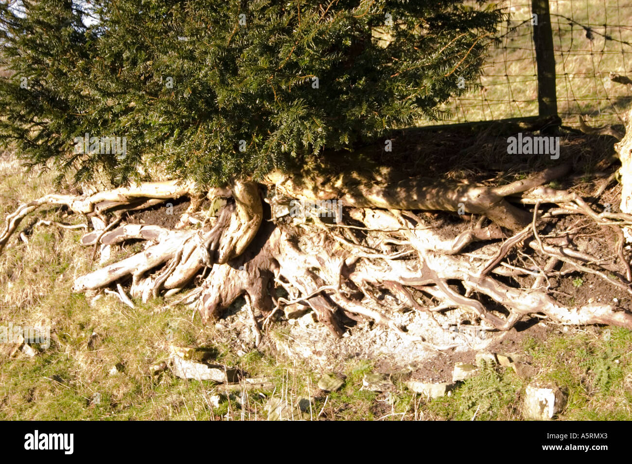 Hillside erosion fence hi-res stock photography and images - Alamy