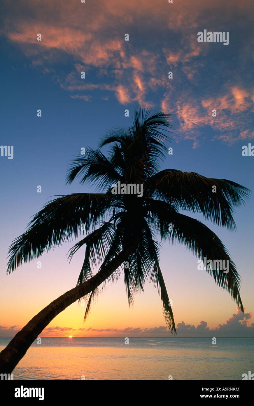 Sunset over Prince Rupert Bay Dominica Island Caribbean Sea Stock Photo ...