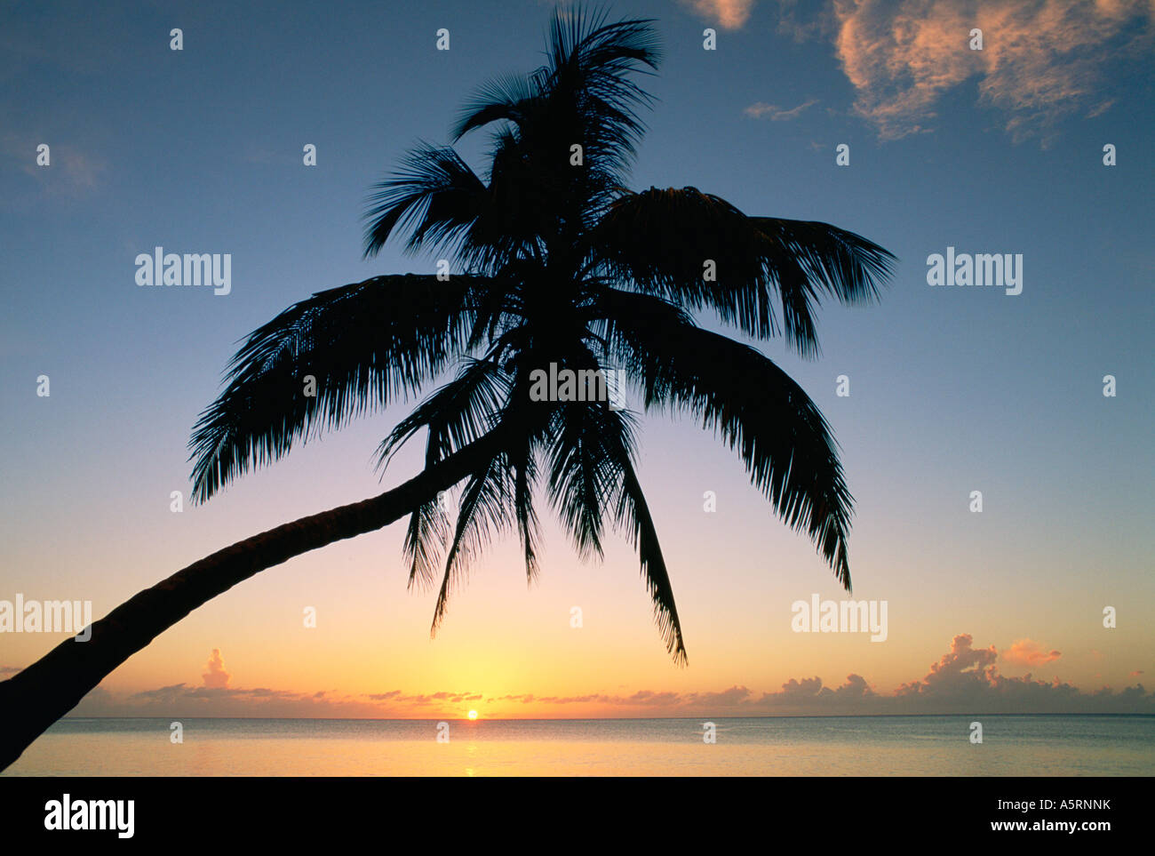 Sunset over Prince Rupert Bay Dominica Island Caribbean Sea Stock Photo ...