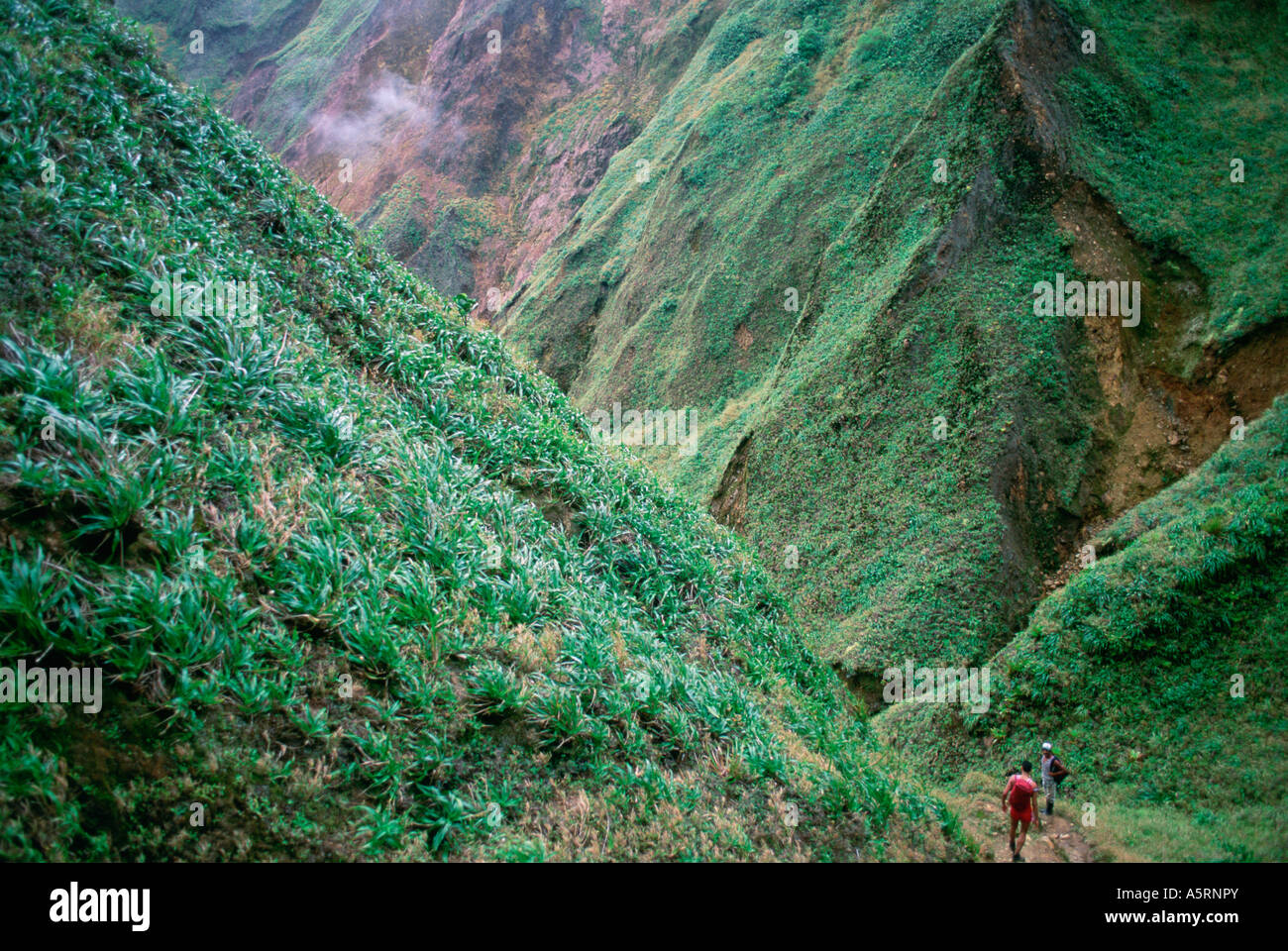 Hikers in the Valley of Desolation Dominica Island known as The Nature ...