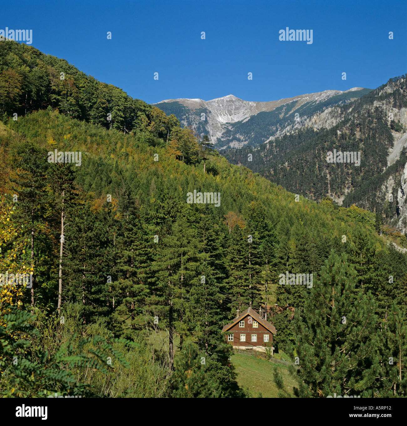 summit of Schneeberg called Klosterwappen seen from Hirschwang in Lower ...