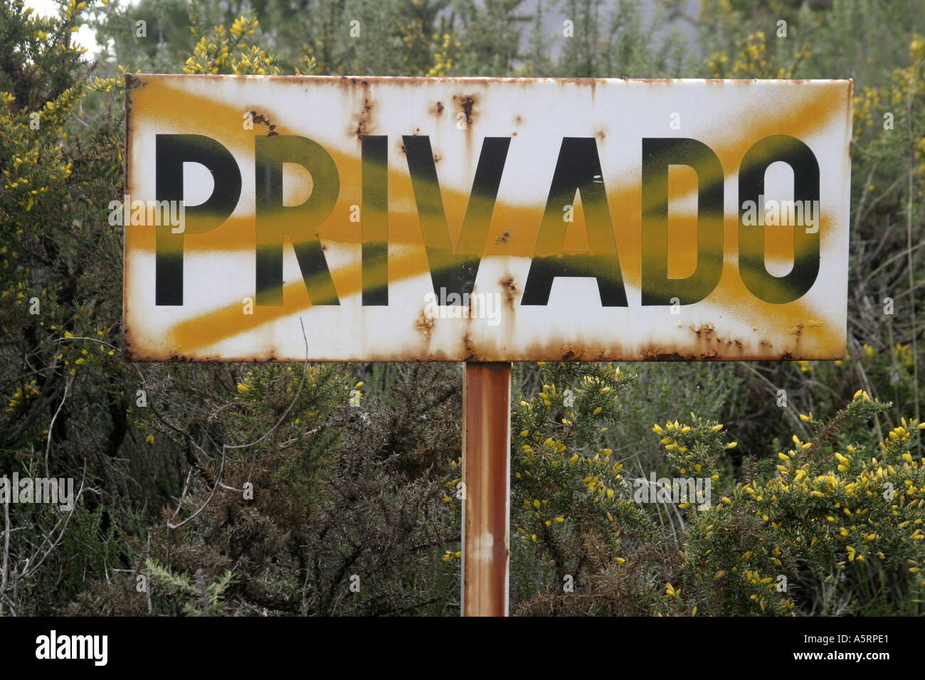 Word private hi-res stock photography and images - Alamy
