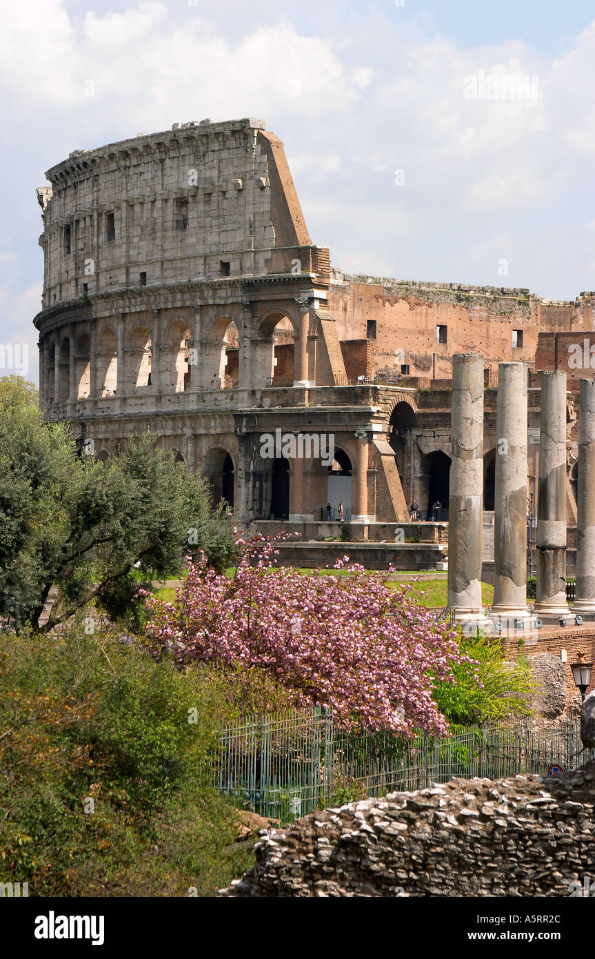 Roman Colosseum Rome Italy Stock Photo - Alamy